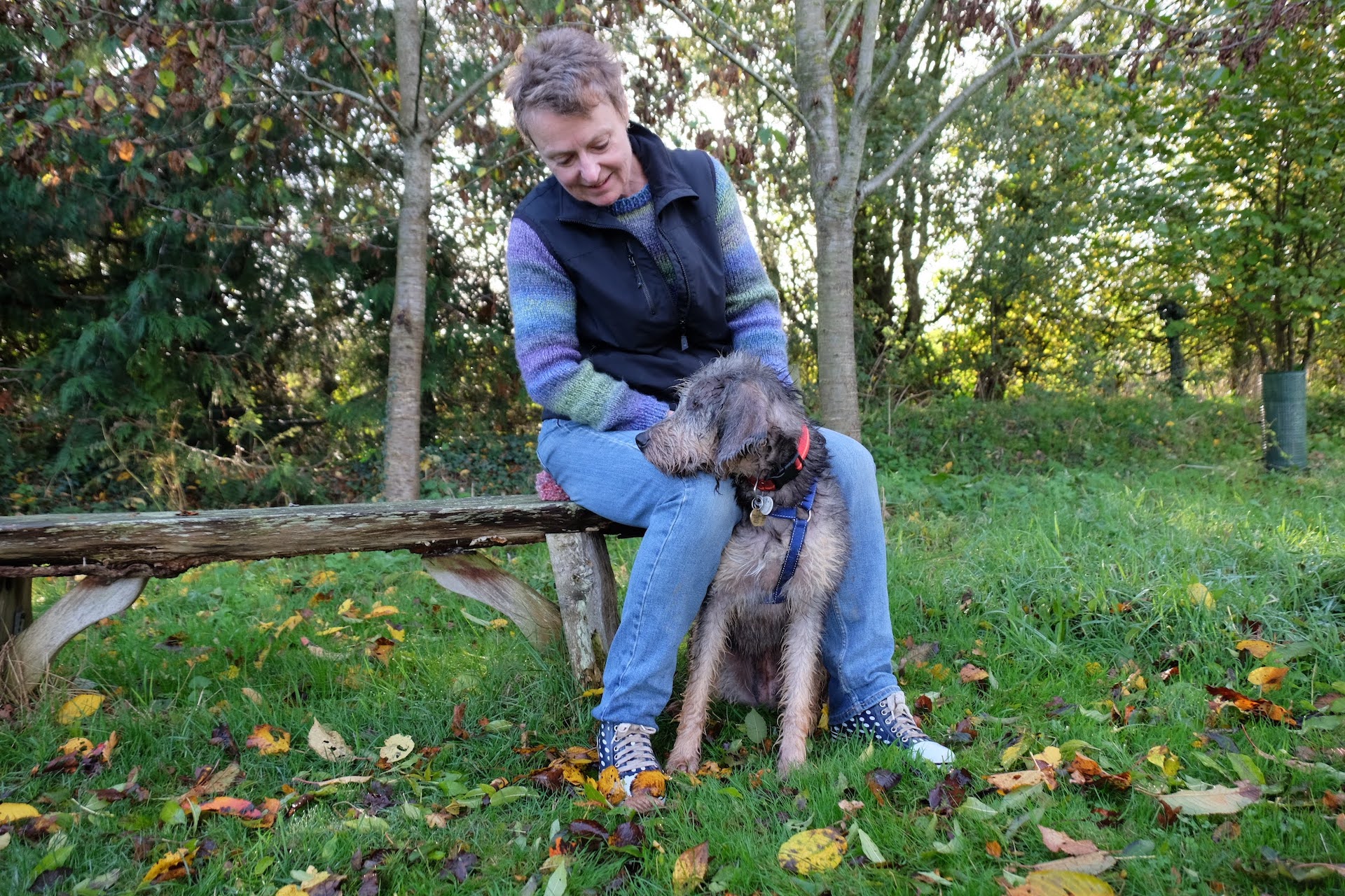 Pet burials - Pembrokeshire Natural Burial Meadow - Leedam