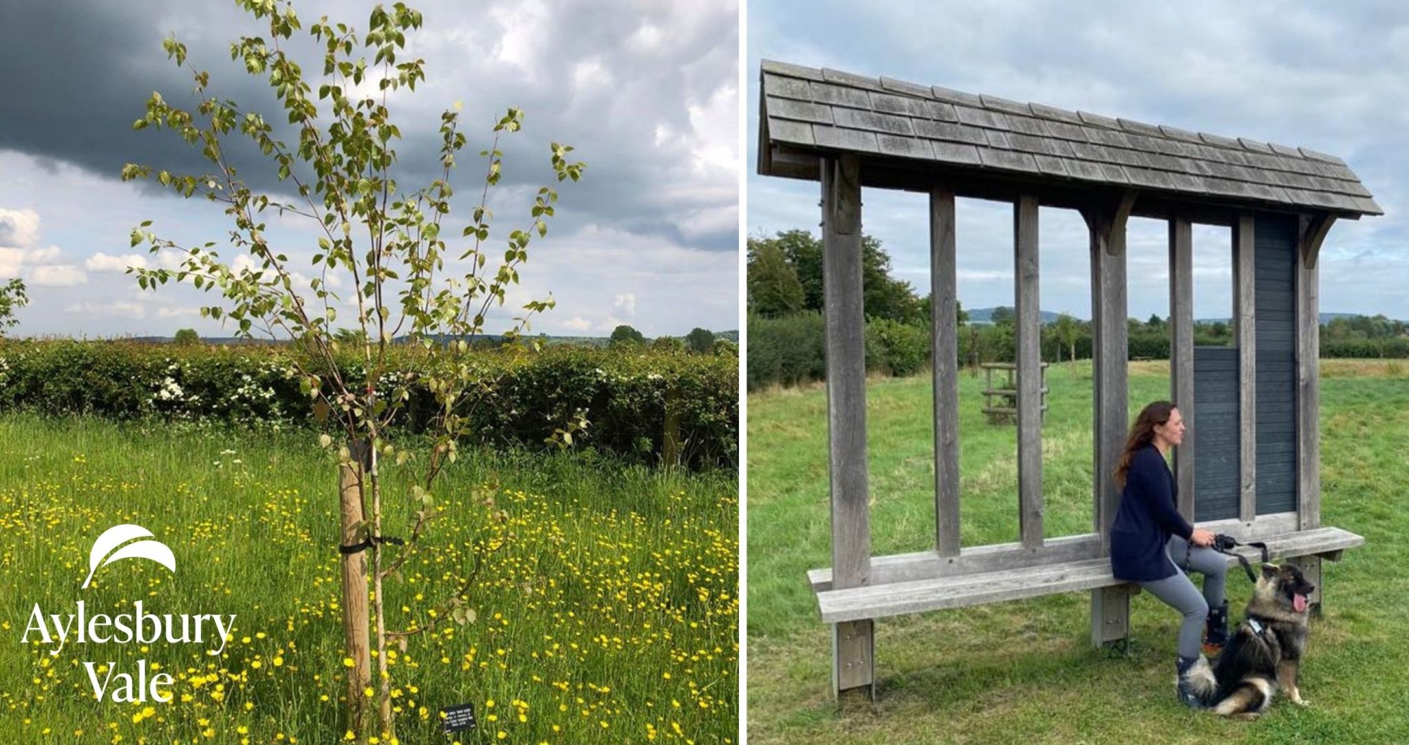 Natural memorials that are eco-friendly and down to earth - Leedam ...