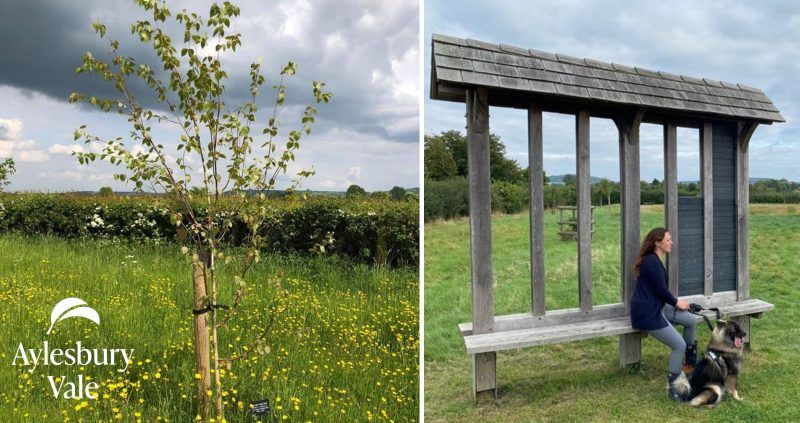 Natural memorials that are eco-friendly and down to earth - Leedam ...
