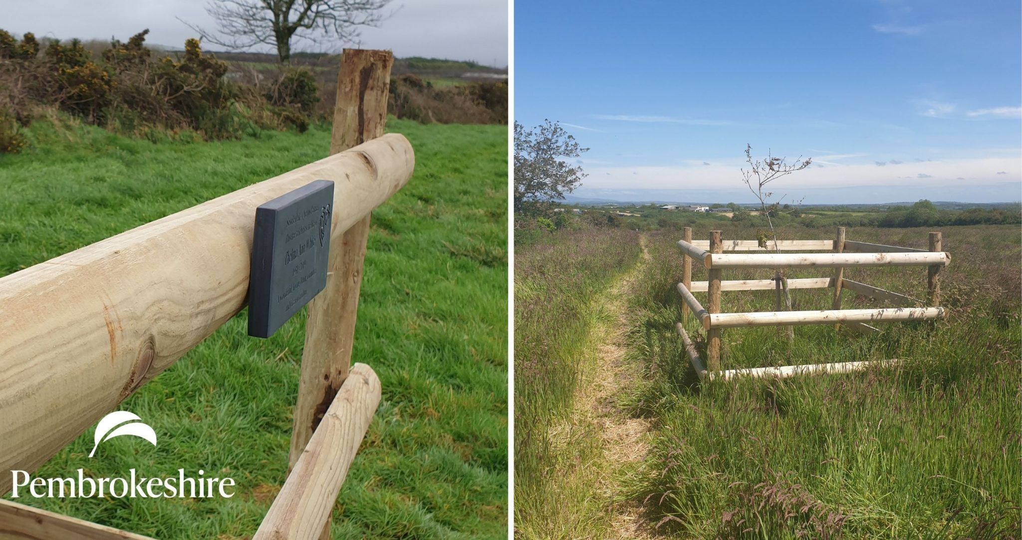 Natural memorials that are eco-friendly and down to earth - Leedam ...